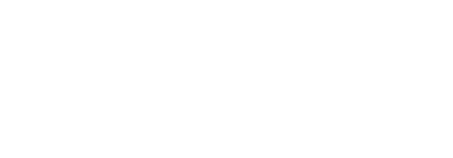 The Village Of Secor, IL