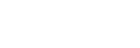 The Village Of Secor, IL