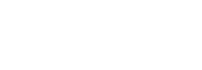 The Village Of Secor, IL